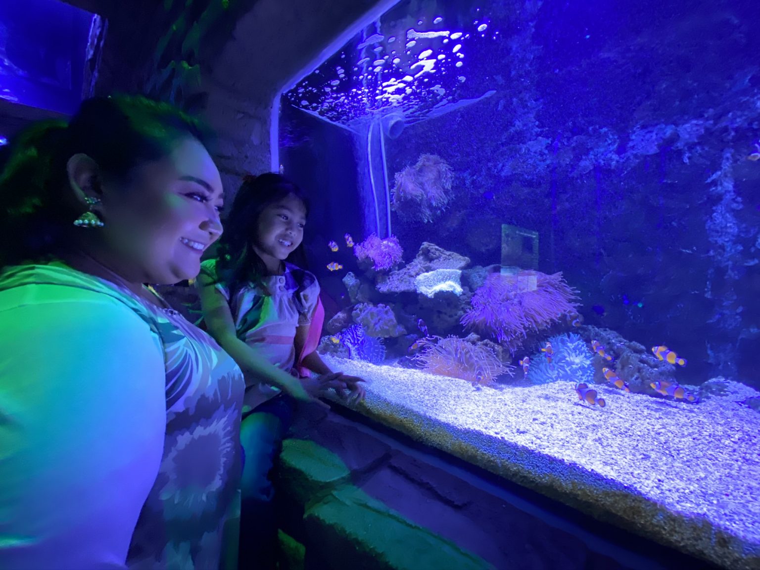 The Shore Oceanarium - Tempat wajib singgah di Melaka | KakiTravel.net