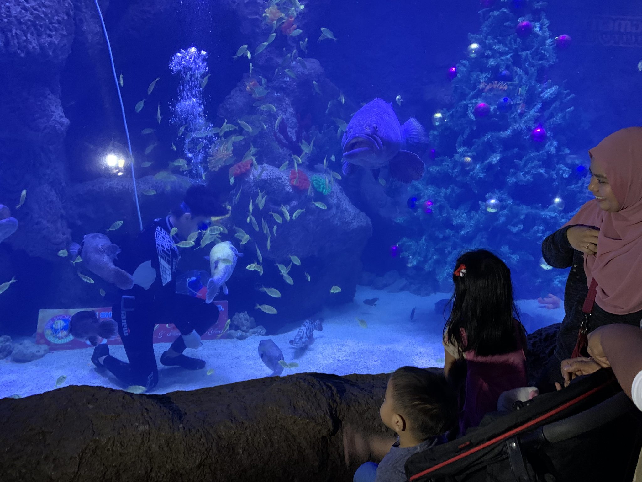 The Shore Oceanarium - Tempat wajib singgah di Melaka | KakiTravel.net
