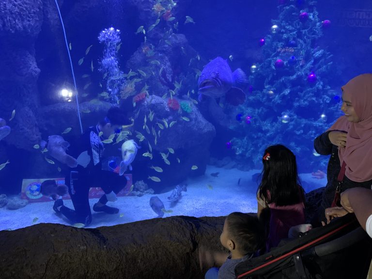 The Shore Oceanarium - Tempat wajib singgah di Melaka | KakiTravel.net