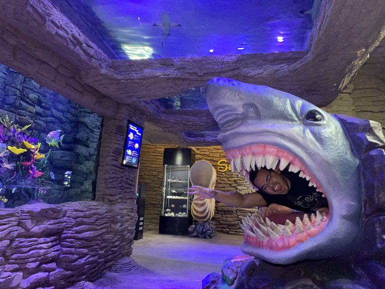The Shore Oceanarium - Tempat wajib singgah di Melaka | KakiTravel.net
