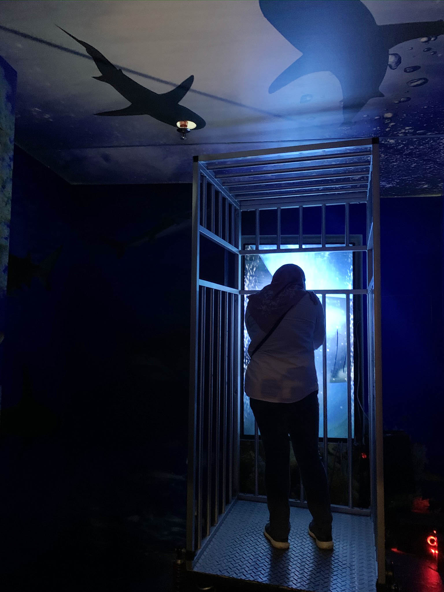 The Shore Oceanarium - Tempat wajib singgah di Melaka | KakiTravel.net