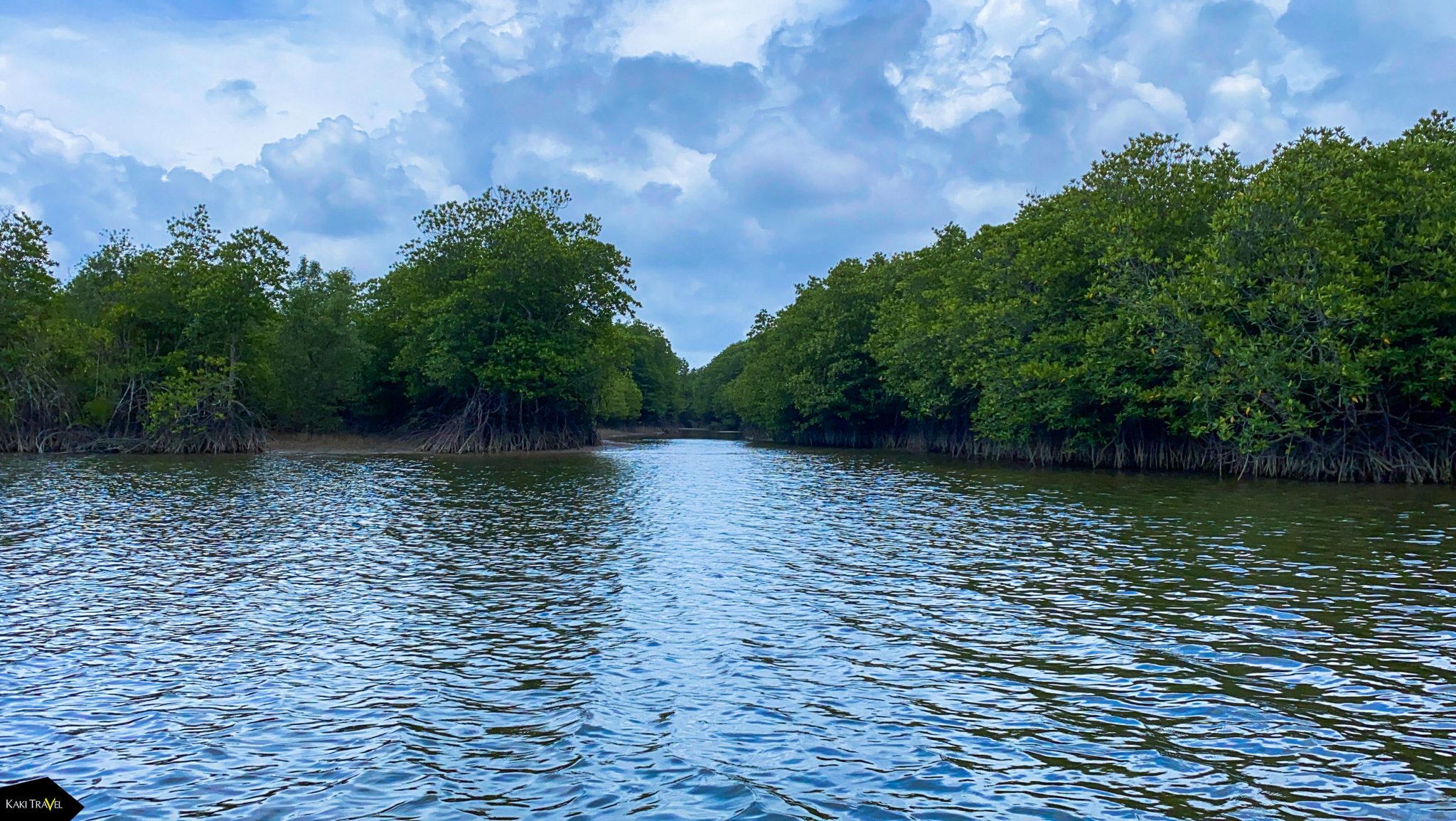 6 aktiviti menarik di Setiu Wetland, Terengganu | KakiTravel.net
