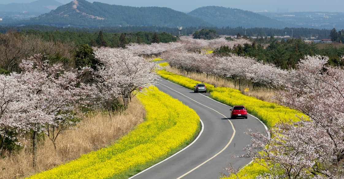 RUN to Jeju Virtual Run 2021 - kekal sihat sambil dekatkan hati dengan ...