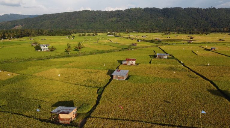 7 aktiviti best di Tenom, Sabah! | KakiTravel.net